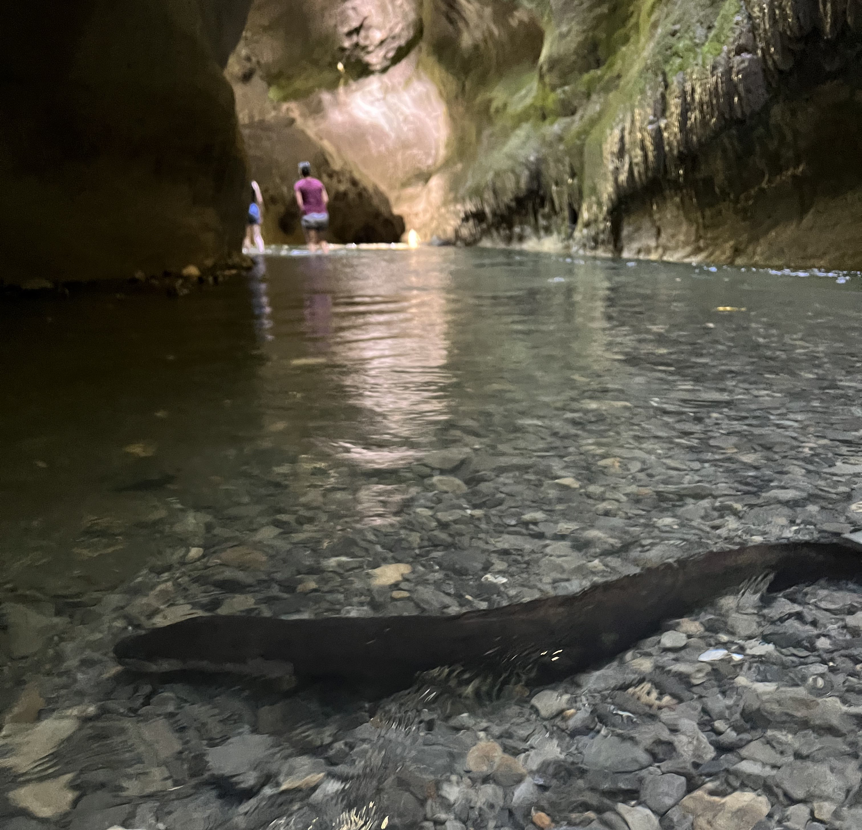 Patuna Chasm – Small & Spectacular – Riversmiths NZ