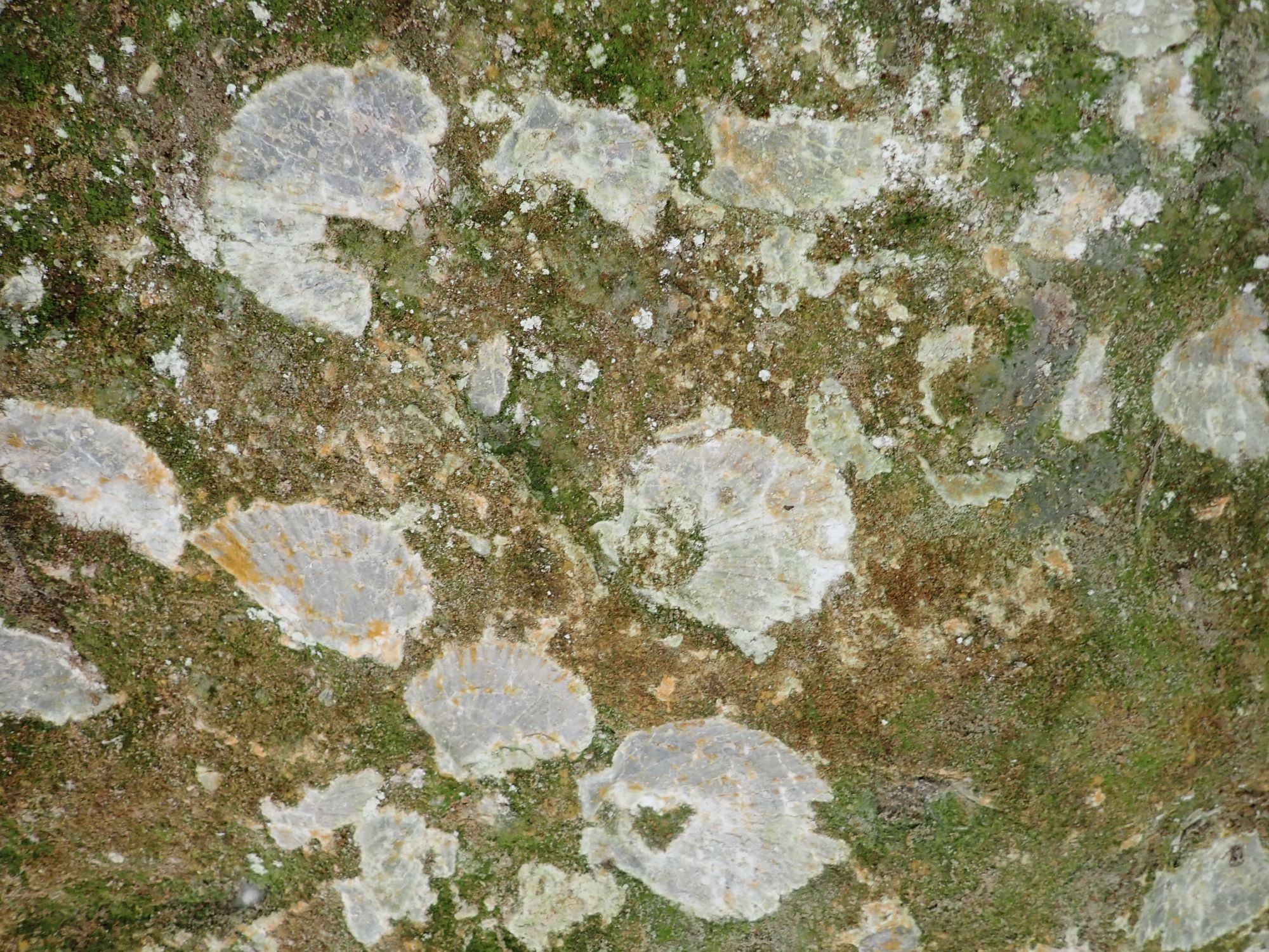 Patuna Chasm – Small & Spectacular – Riversmiths NZ