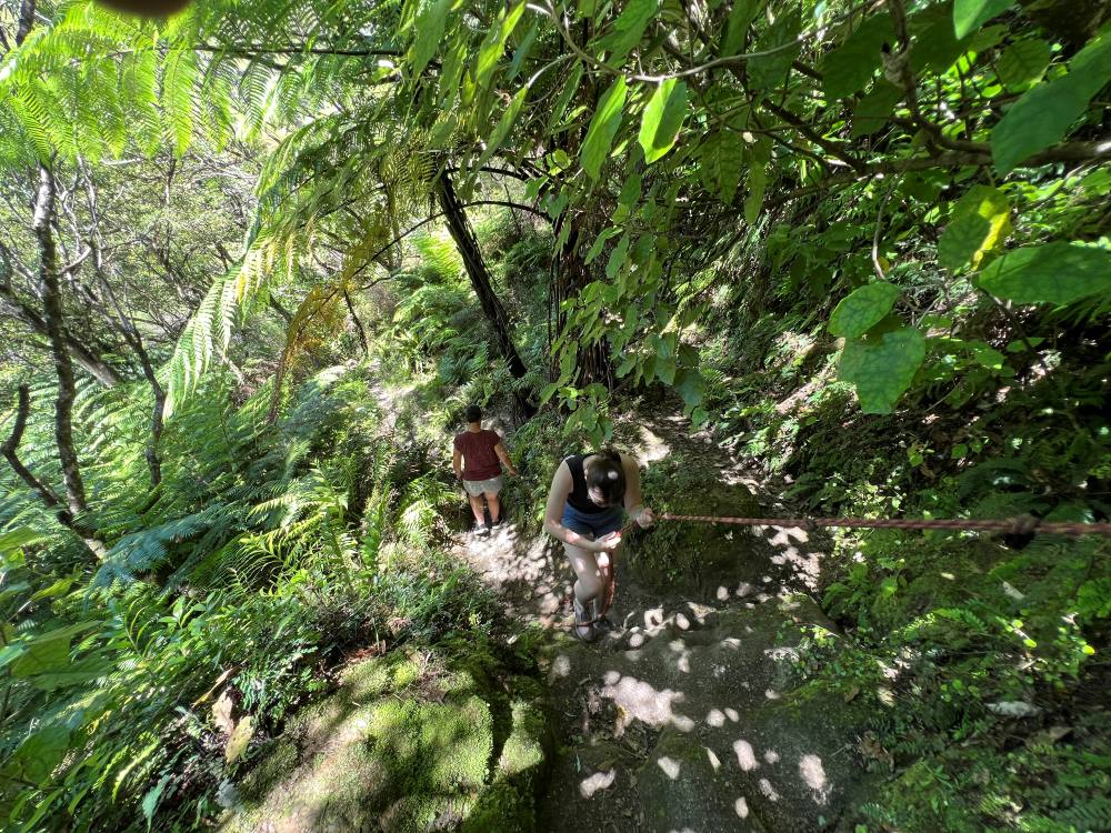 Patuna Chasm – Small & Spectacular – Riversmiths NZ